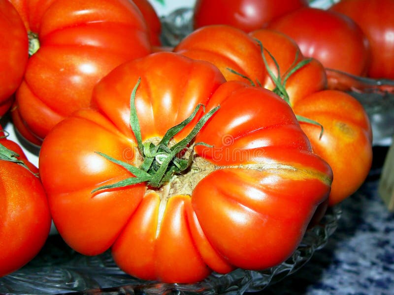 Several Fresh Red Raf Tomatoes Stock Photo - Image of vegetarian, diet ...