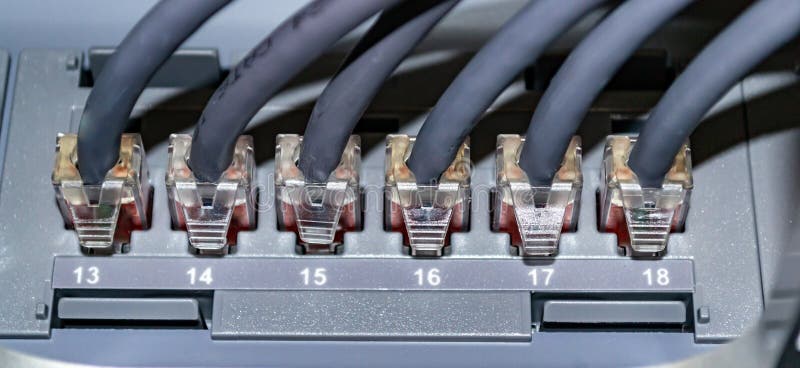 Several LAN Cables Connected To Ethernet Switch Formed Communication ...