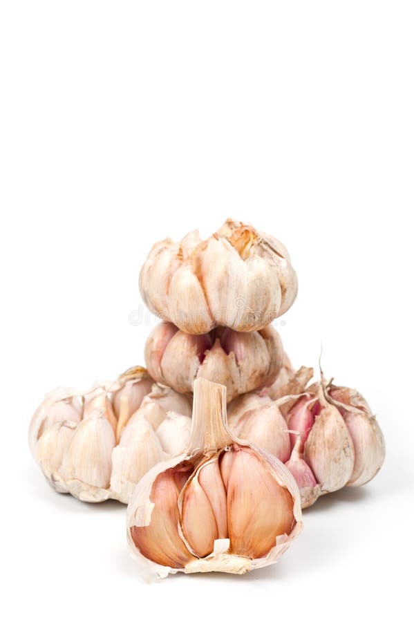 Several Large Heads of Garlic, Shot Against a White Background Stock ...