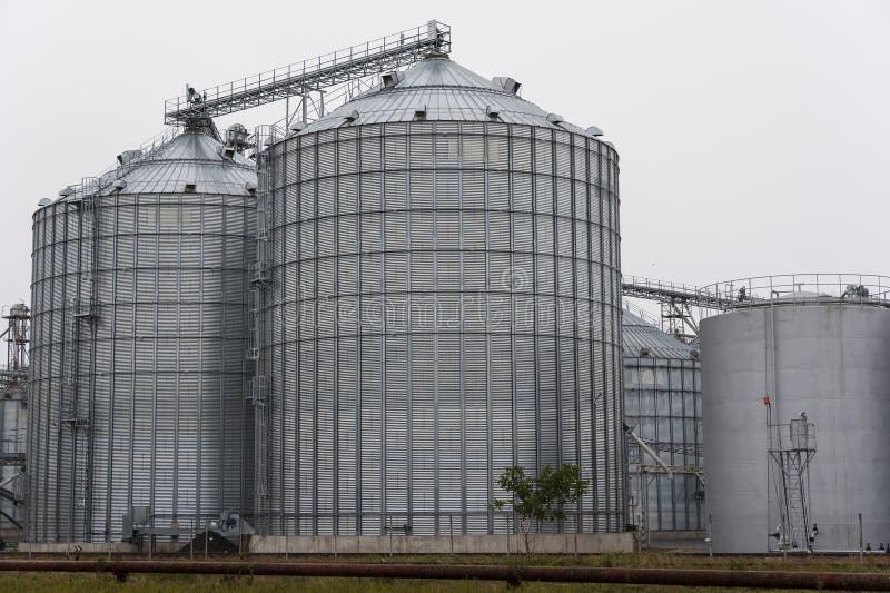 Several Large Metal Silos are Seen in a Grain Storage Facility ...