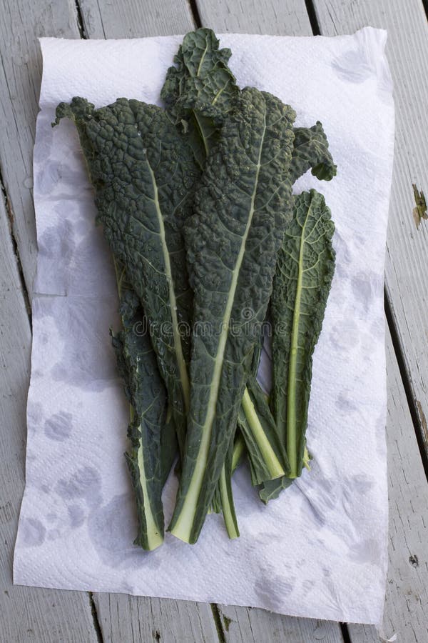 Raw Kale stock image. Image of kale, vegetable, clean - 30304759