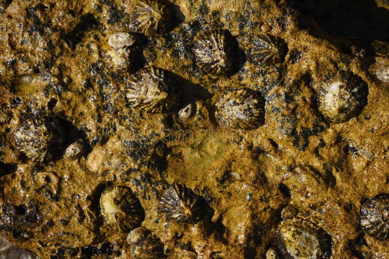 The colored rock in a cave stock photo. Image of decline - 10985036