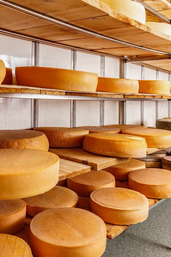 Cheese Wheels stock photo. Image of wheel, storage, cheddar - 9966250