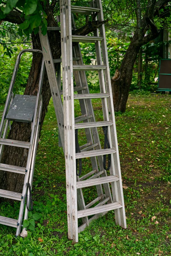 Several Ladders Stock Photos - Free & Royalty-Free Stock Photos from ...