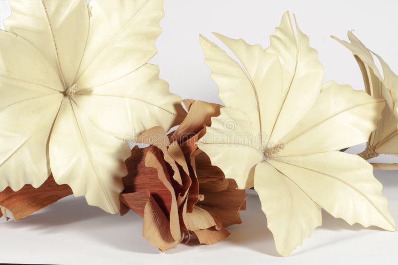 Decorative Paper Flowers, on White Background Stock Image - Image of ...