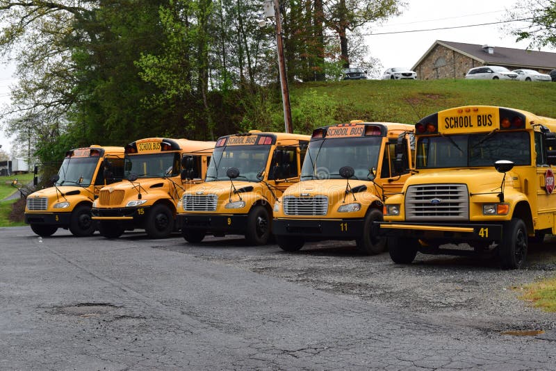 Parked School bus - Buses stock photo. Image of multiple - 26160992