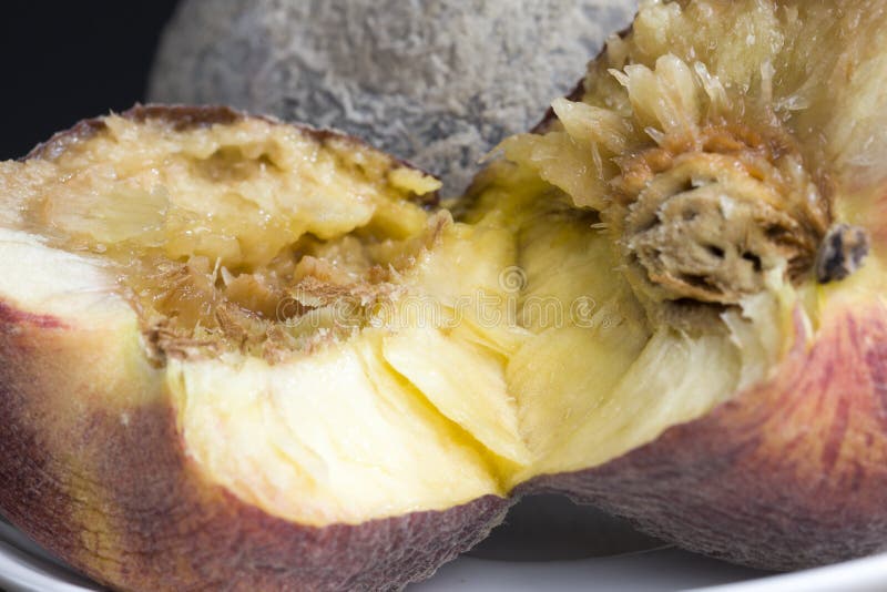 Rotten Peaches Stock Photos - Free & Royalty-Free Stock Photos from ...