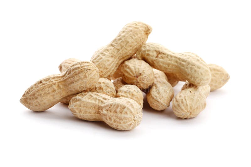 Peanut Shell Pile stock image. Image of wallpaper, photograph - 17955701