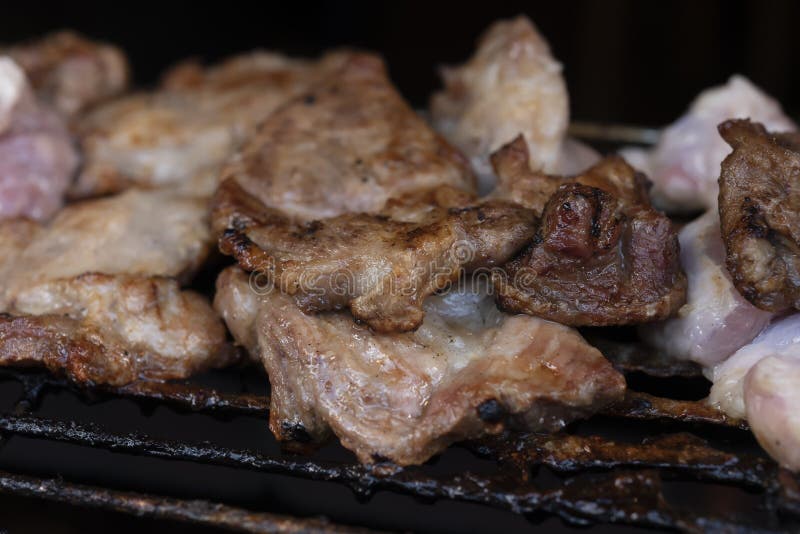 Grilled Pork in Charcoal Turtle Stock Photo - Image of cuisine, family ...