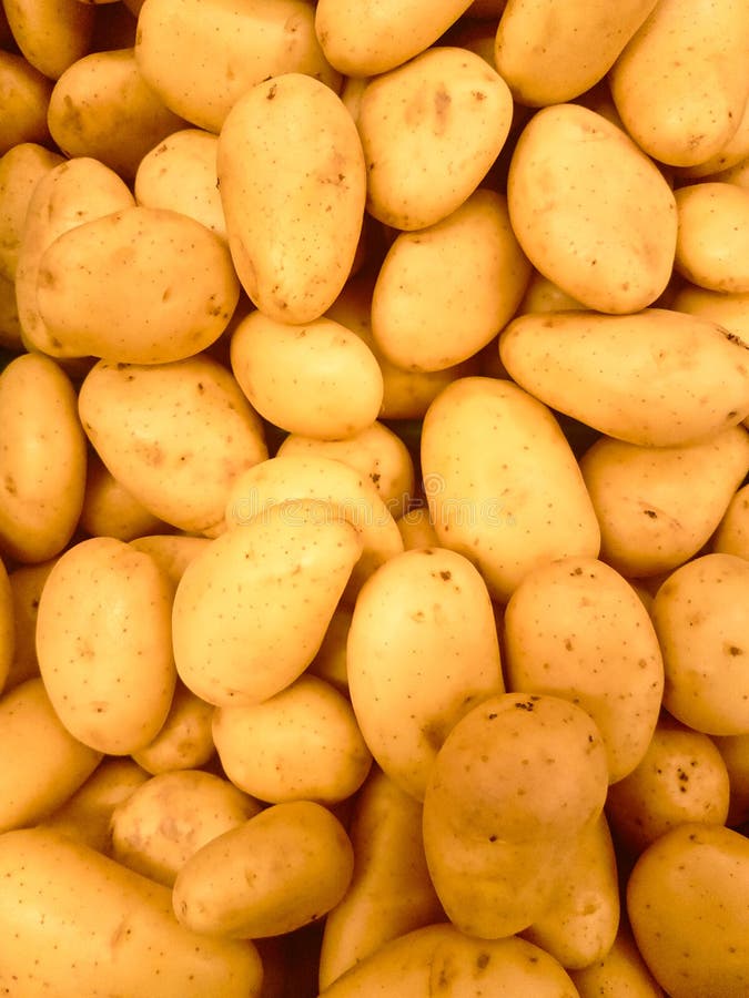 Several Potatoes Background Stock Photo - Image of healthy, closeup ...