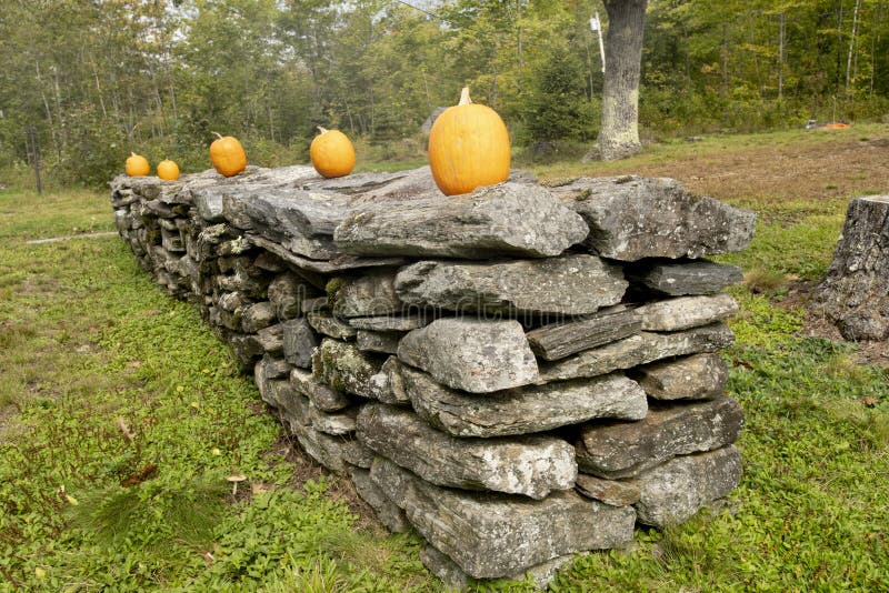 Several Pumpkins on a Stone Wall Stock Photo - Image of autumn, fall ...