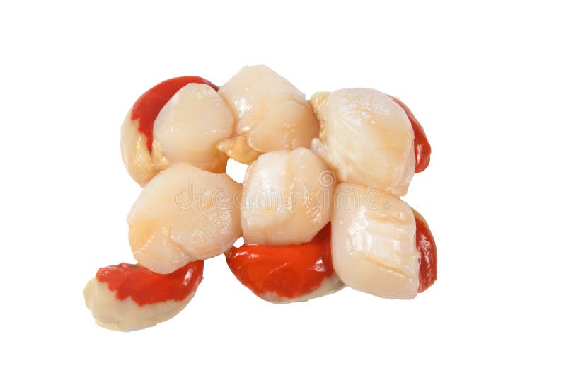 Several Raw Scallops on a White Background Stock Image - Image of ...