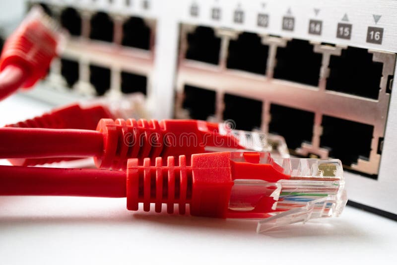 Red Ethernet Cables are Connected To Blue Internet Switch. Symbol of ...