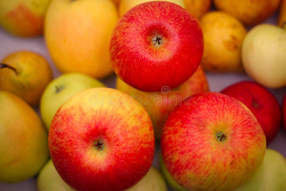Several Red-green Apples Standing on Top of Each Other Stock Photo ...