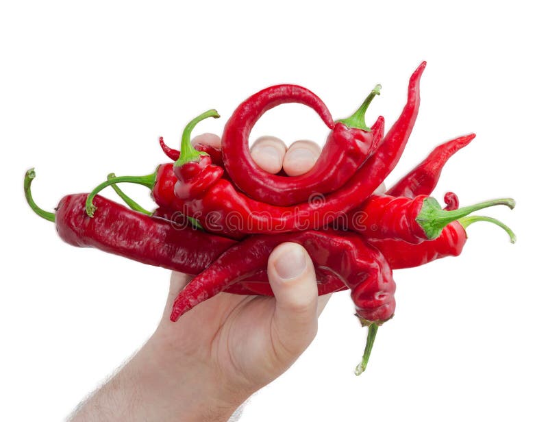 Several Red Peppers Chili in a Male Hand Stock Image - Image of cuisine ...