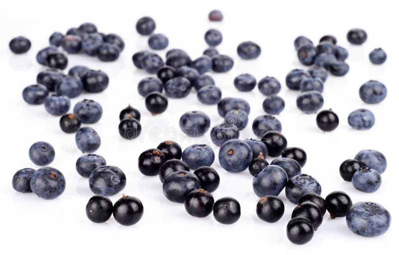 Several Scattered Blueberries Isolated on White Stock Photo - Image of ...