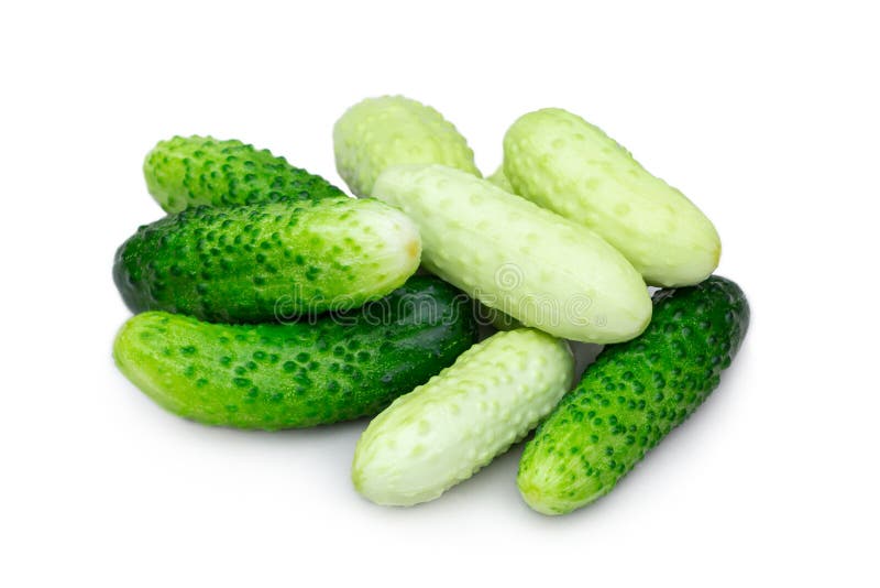 Several Small Cucumbers Gherkins of Different Varieties Isolated on ...