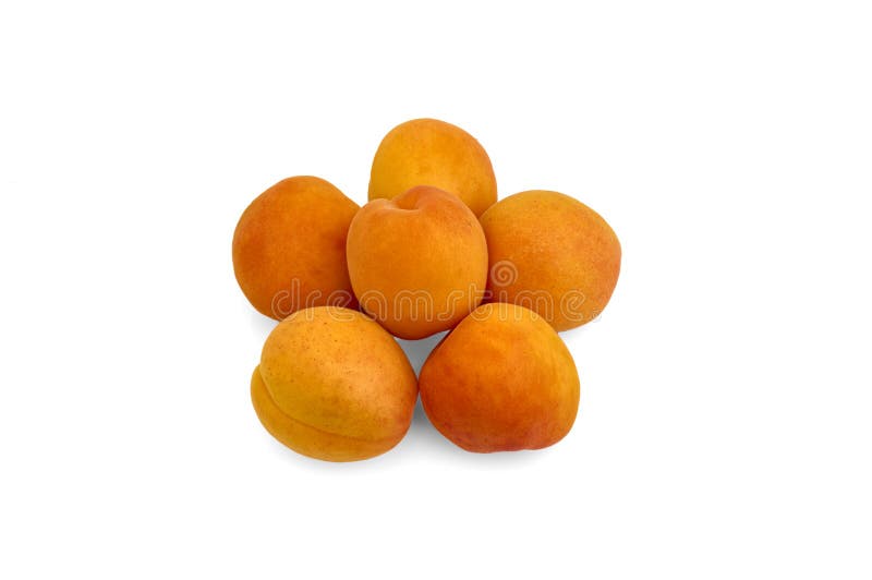 Several Small Yellow Apricots Stock Image - Image of nutrition, apricot ...