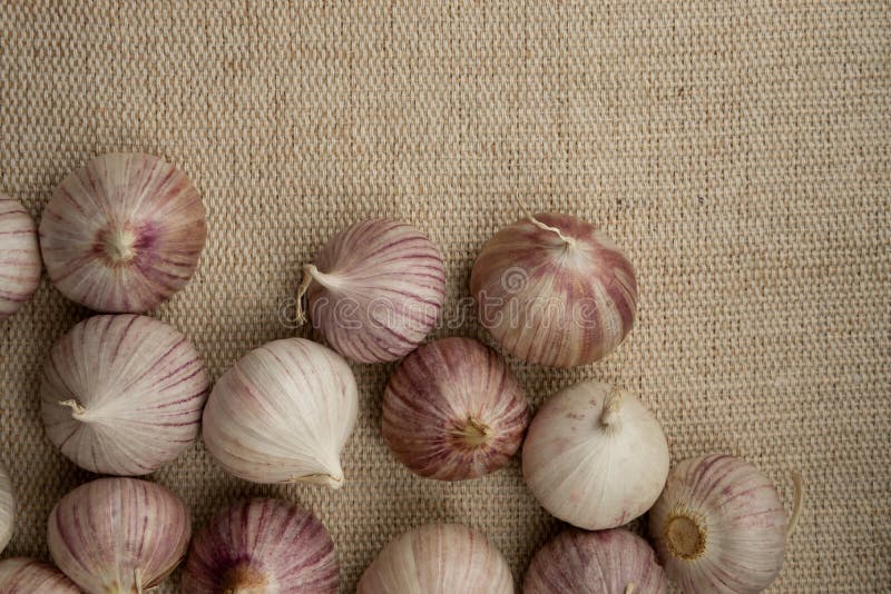 Several Solo Garlic on Textile Background Flat Lay Stock Photo - Image ...