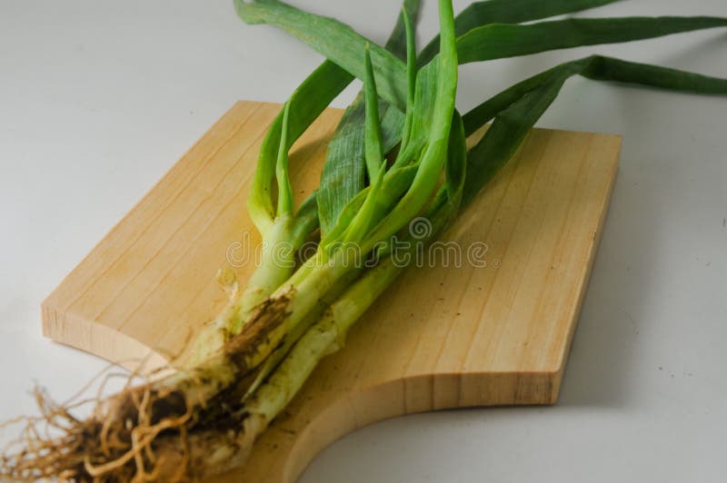 Several Stems of Onion Plants with Their Roots and Leaves Stock Photo ...