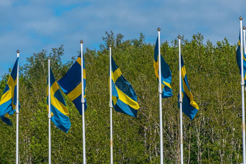 Several Swedish Flags Flying on Flagpoles.. Stock Image - Image of ...
