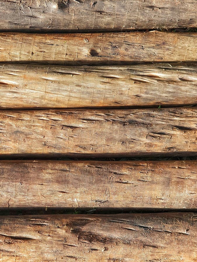 Several Tree Trunks or Wood Arranged Vertically Stock Image - Image of ...