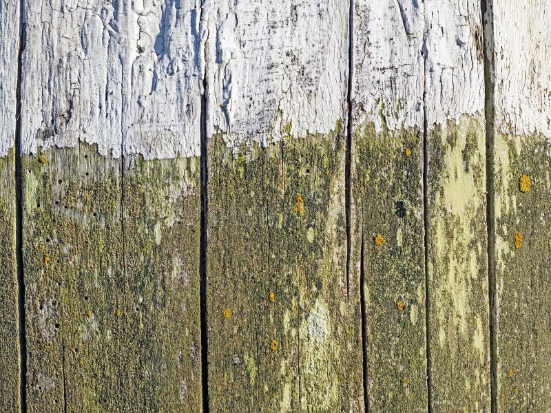 Several Two-tone, Old and Rotten Wooden Boards As a Background Stock ...