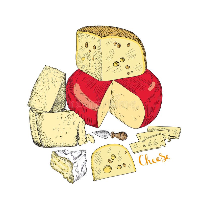 Several Types of Cheese Together. Vector Sketches Hand Drawn Stock ...