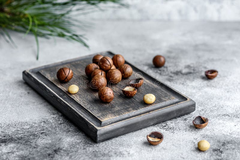 Several Types of Nuts Against the Background of Spruce Branches on a ...