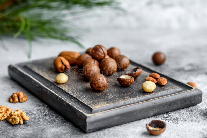 Several Types of Nuts Against the Background of Spruce Branches on a ...