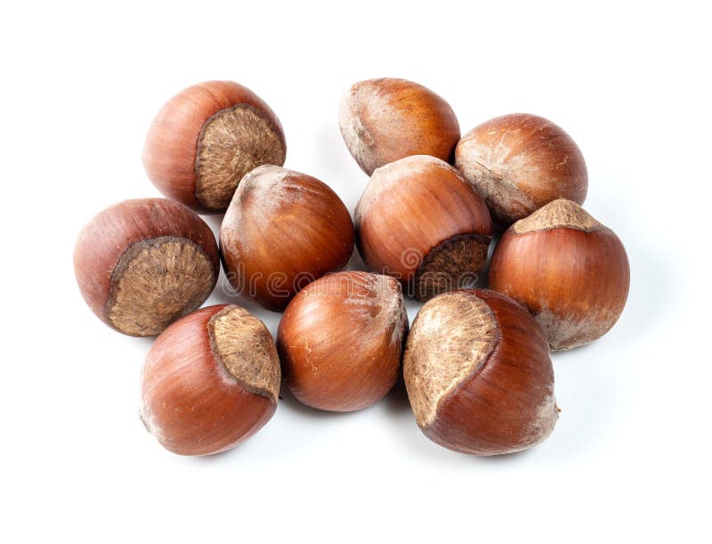 Several Unshelled Hazelnuts Closeup on White Stock Photo - Image of ...