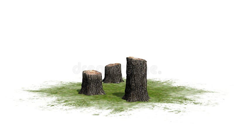Several Various Tree Stumps on a Green Area Stock Illustration ...