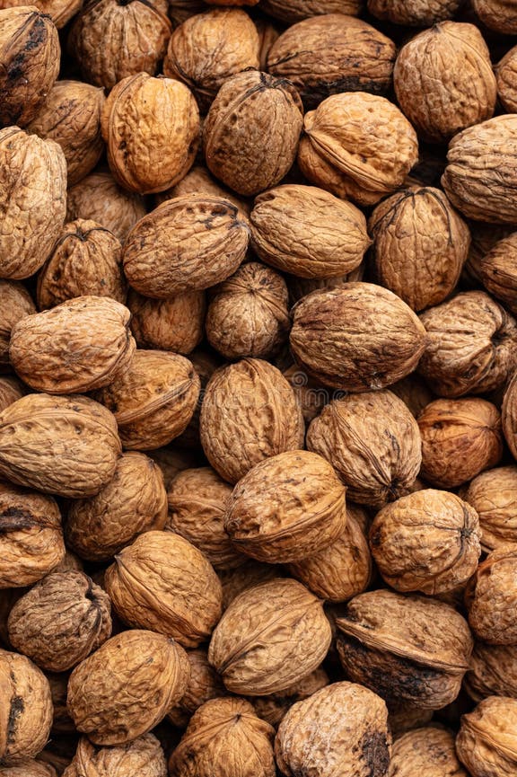 Several Walnuts in Shell Seen from Above Stock Photo - Image of ...