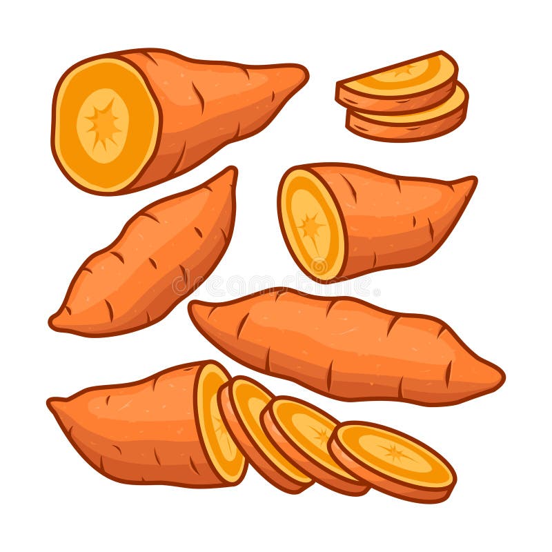 Several Yam in Different Positions, Along with Some Cut into Various ...