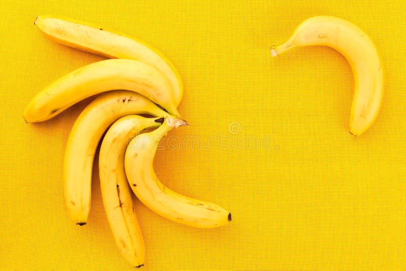 Tropics fabric design stock photo. Image of texture, slick - 92509012