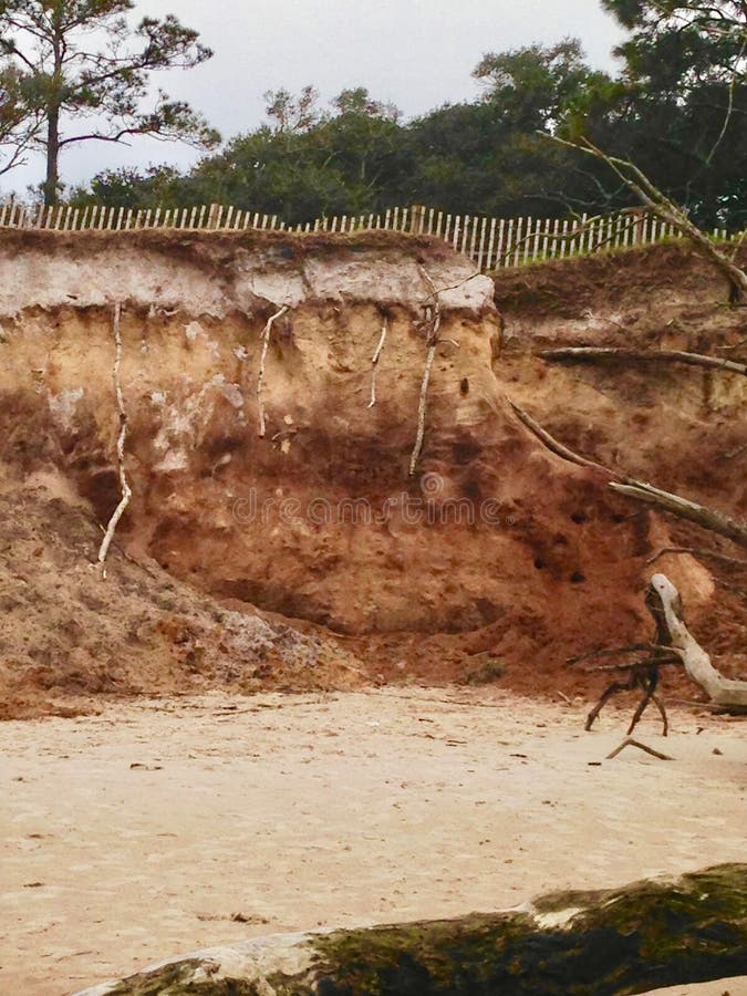 Beach Erosion after a Storm in Florida Stock Photo - Image of ...