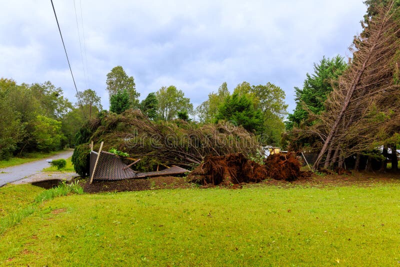 Severe Storm Causes Uprooted Trees Damaged Structures in Rural ...