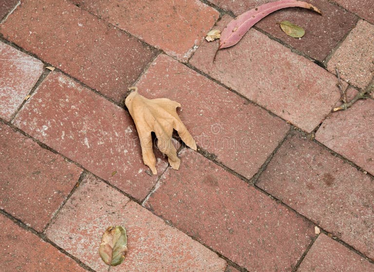 Severed hand? stock image. Image of colors, humor, green - 100088253