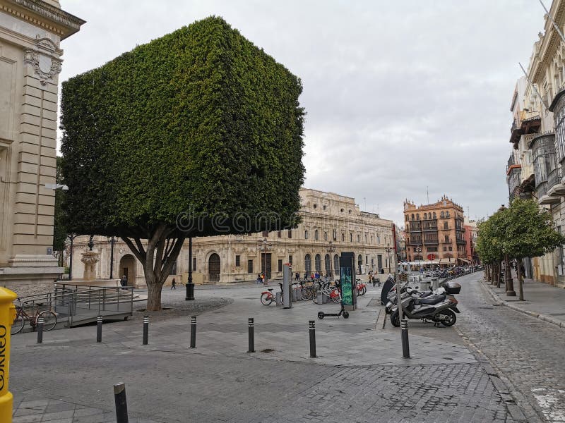 Sevilla Cube Tree City art editorial image. Image of town - 266223015