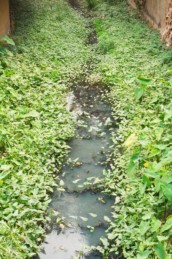 Sewage canals stock photo. Image of factory, dump, blue - 229188224