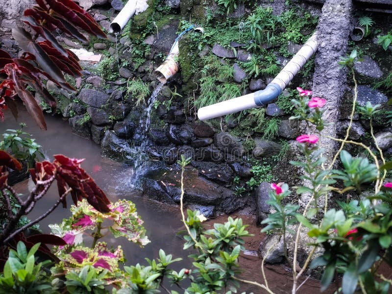 Sewage Drain stock photo. Image of stream, pond, leaf - 303102394