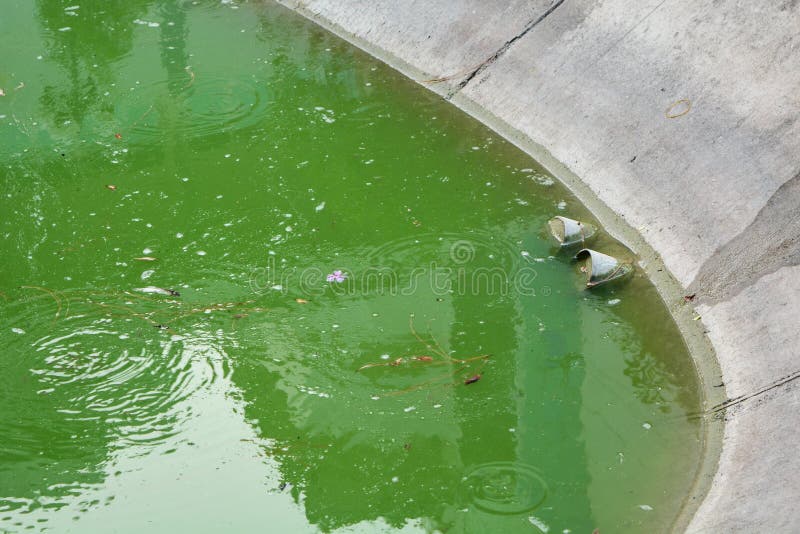 Sewage and green waste stock photo. Image of environment - 248757666