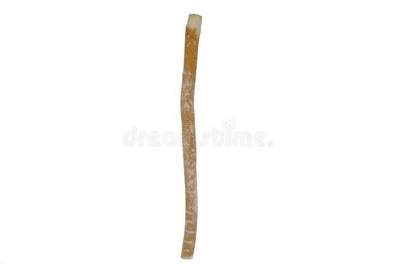 Miswak Sticks. Siwak or Sewak Sticks. Organic Toothbrush. Salvadora ...