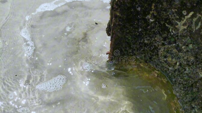 Objects and outdoor stock footage. Video of rubber, beach - 338764046