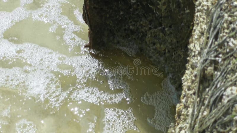 Objects and outdoor stock footage. Video of system, control - 338764210