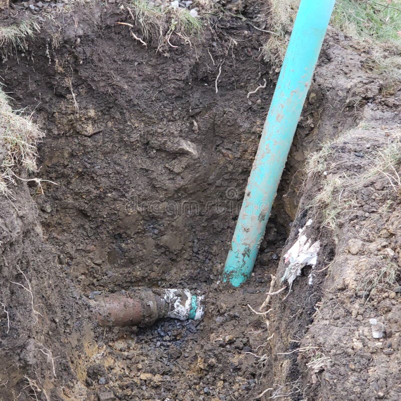 Sewer Line Replacement Inside Stock Photo - Image of tree, plant: 237911070