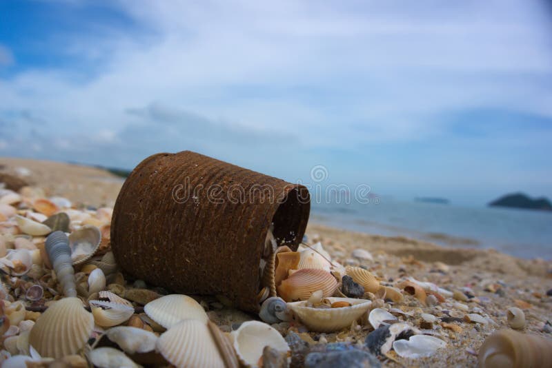 Sewing Cans and Shell on the Beach. Stock Photo - Image of rust, shells ...