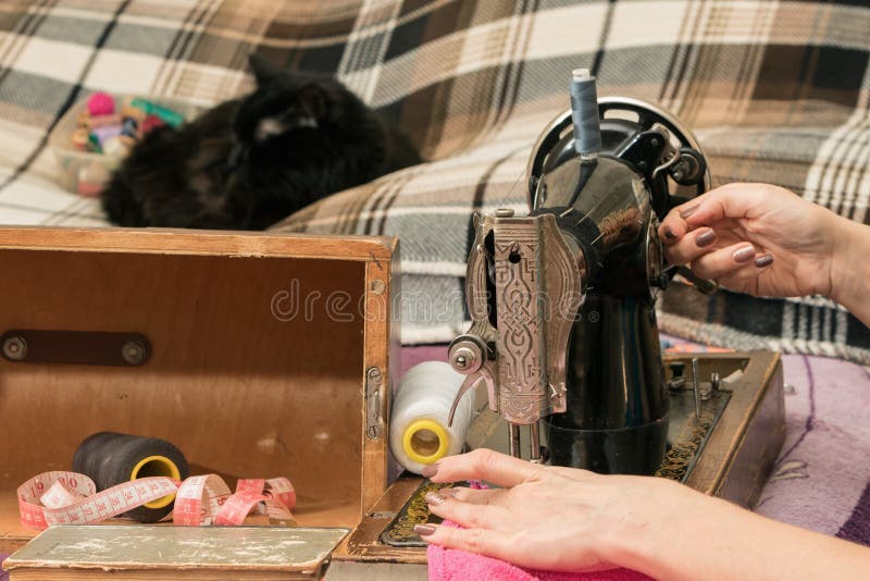 Sewing Machine with Thread and Cat. Stock Image - Image of portrait ...