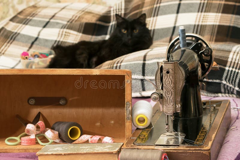 Sewing Machine with Thread and Cat. Stock Image - Image of spool ...