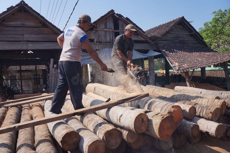 Sewing wood editorial image. Image of sawing, java, central - 41369565